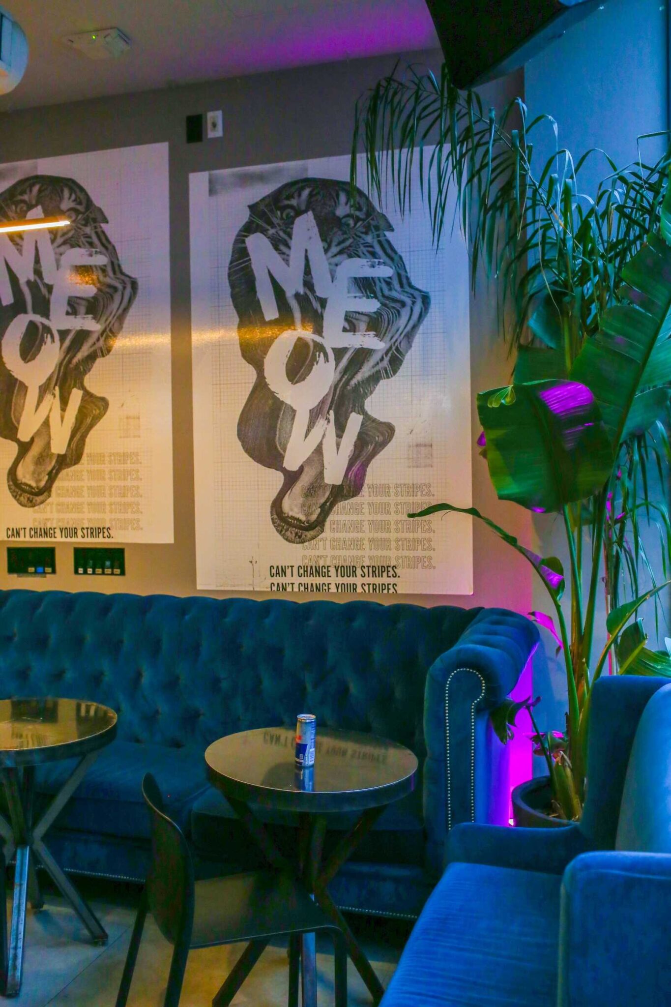 The Foodie Scene at Tiger Restaurant & Lounge in Sacramento ...