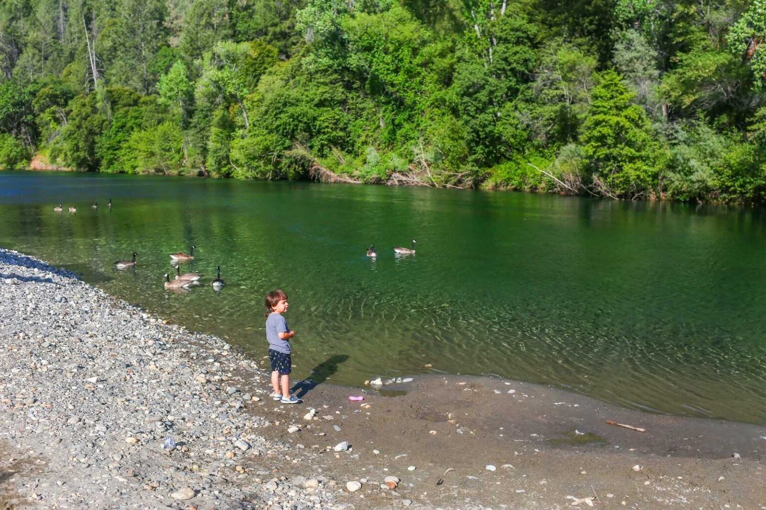 Guide to Visit Upper Lake Clementine Beach in Auburn, Northern California