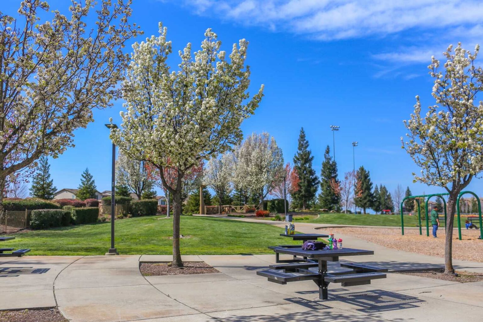 Whitney Community Park - A Hidden Gem in Rocklin - Sacramento Love
