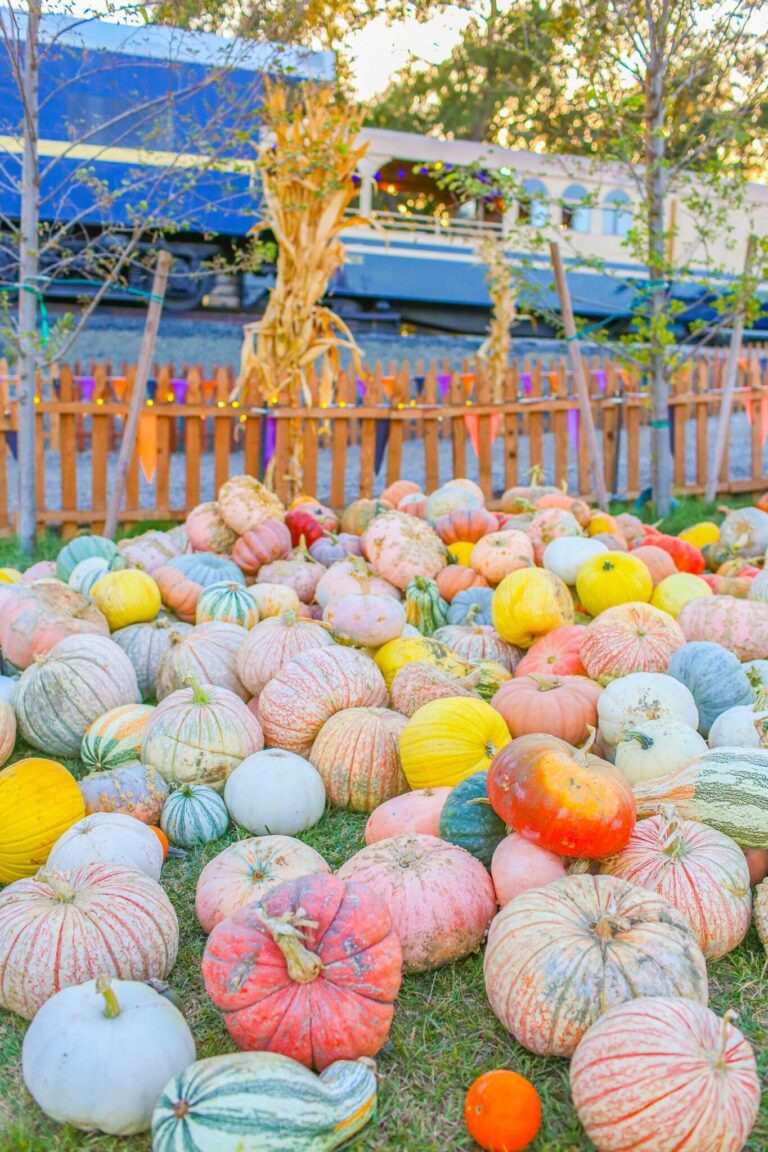 River Fox Train Pumpkin Patch Express - Plan Fall Family Fun ...