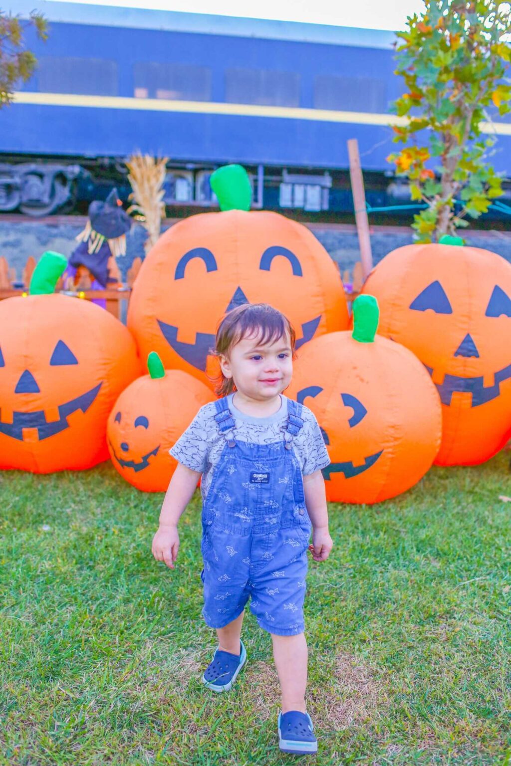 River Fox Train Pumpkin Patch Express - Plan Fall Family Fun ...