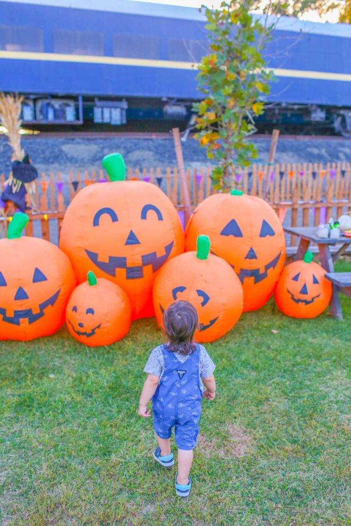 River Fox Train Pumpkin Patch Express - Plan Fall Family Fun ...