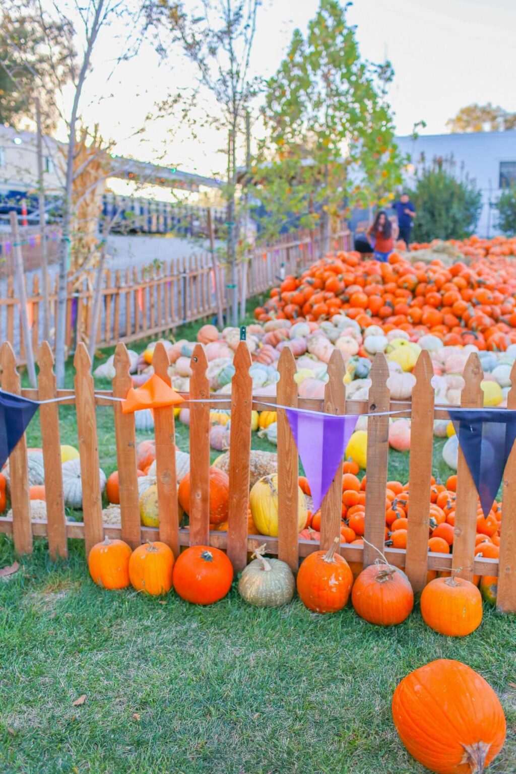 River Fox Train Pumpkin Patch Express - Plan Fall Family Fun ...